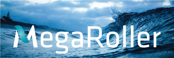 Newsletter #1 2020 - MegaRoller