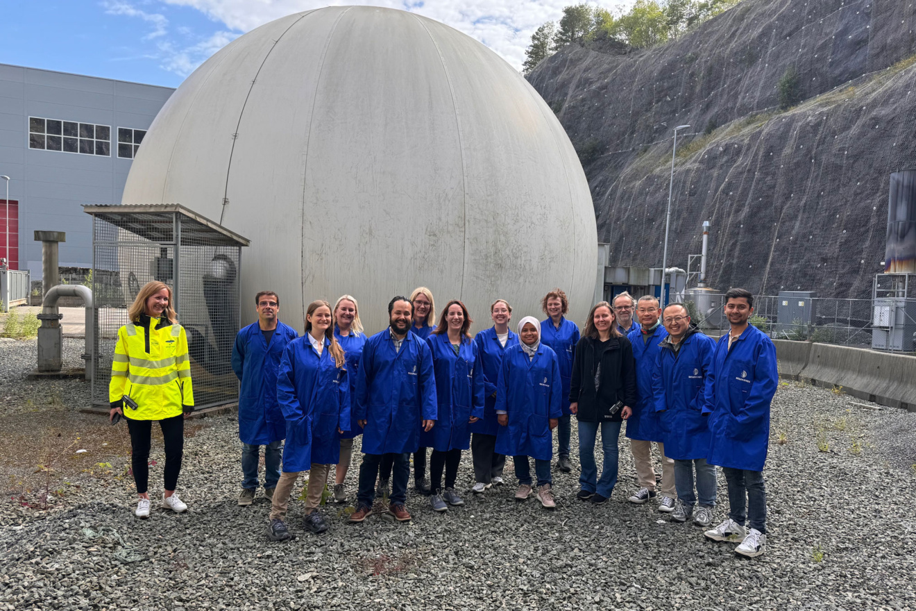 Biorest: en ressurs eller en byrde? Funn fra BioSynGas-prosjektet – SINTEF-blogg